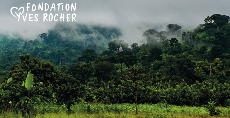 Plant for Life | Yves Rocher